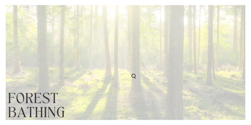 The Magical Healing Powers of the Forest - FITGirl Inc.